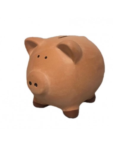 Hucha CERDO XL - Diseño Divertido para Ahorrar